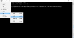 [Fix] CTRL+C and CTRL+V Not Working | Keyboard Shortcut Keys Issue (100% Working) - wingeek