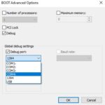 Boot Advanced Options in MSCONFIG | Showing Uses - wingeek