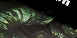 Canon Printer App For Windows 11: Easy Setup Guide - wingeek