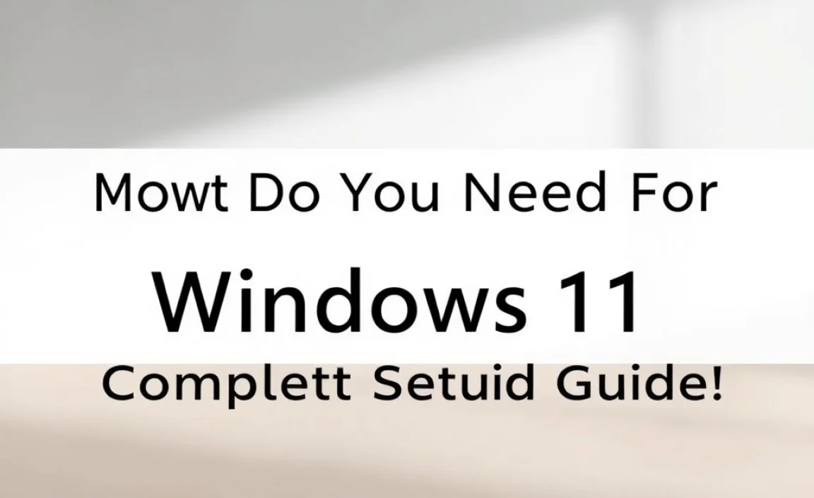 What Do You Need For Windows 11? Complete Setup Guide! - wingeek