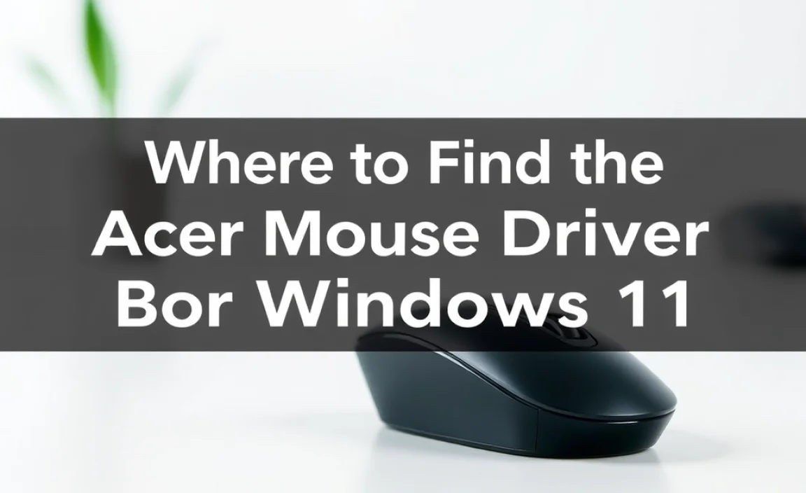 Download Acer Mouse Driver Installer For Windows 11 Offline - wingeek